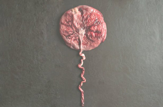 The Role of The Placenta and its importance for your baby – TheRY